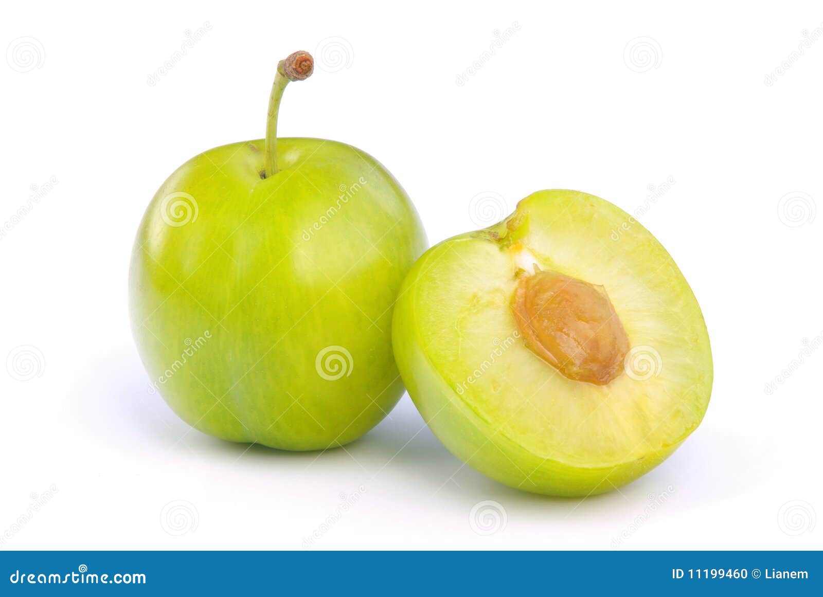 Greengage stock photo. Image of natural, fresh, close - 11199460