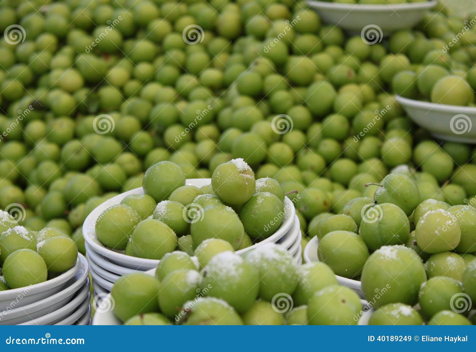 Greengage Plums stock image. Image of green, food, natural - 40189249