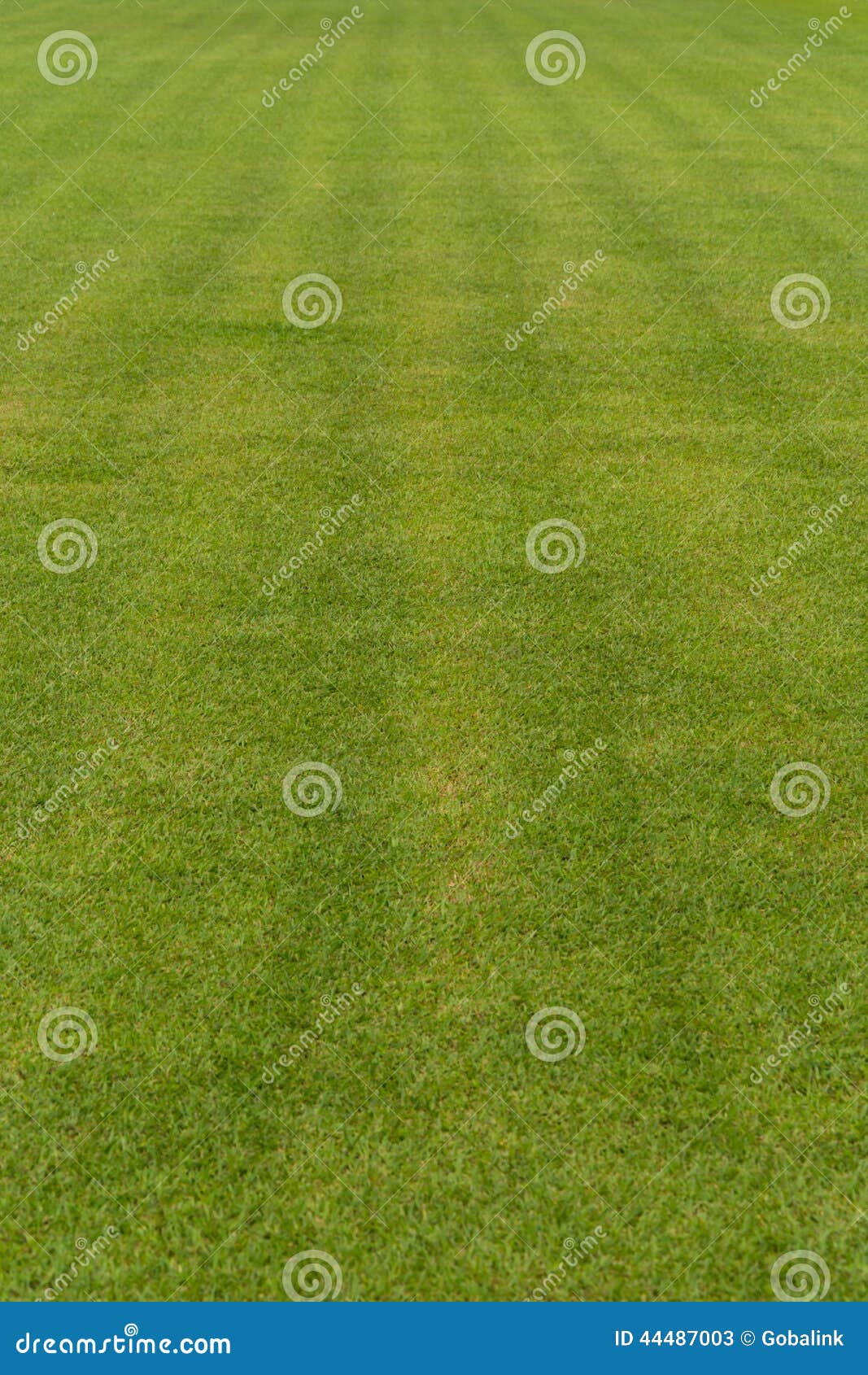 Greengrass stock image. Image of abstract, growth, field - 44487003