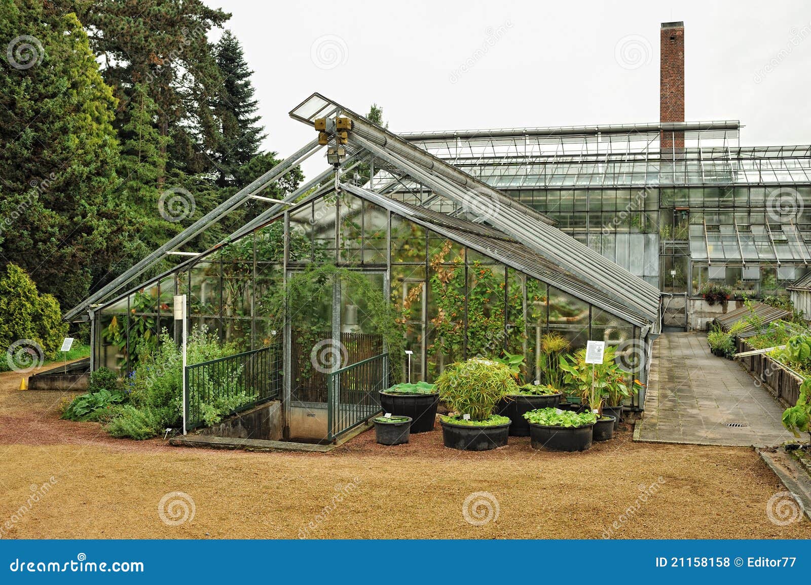 Big greenhouse stock photo. Image of green, engineering - 21158158