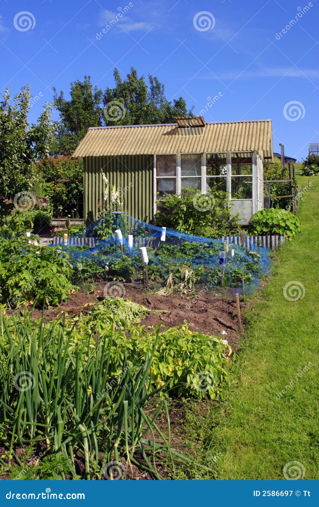 Greenhouse stock image. Image of activity, countryside - 2586697