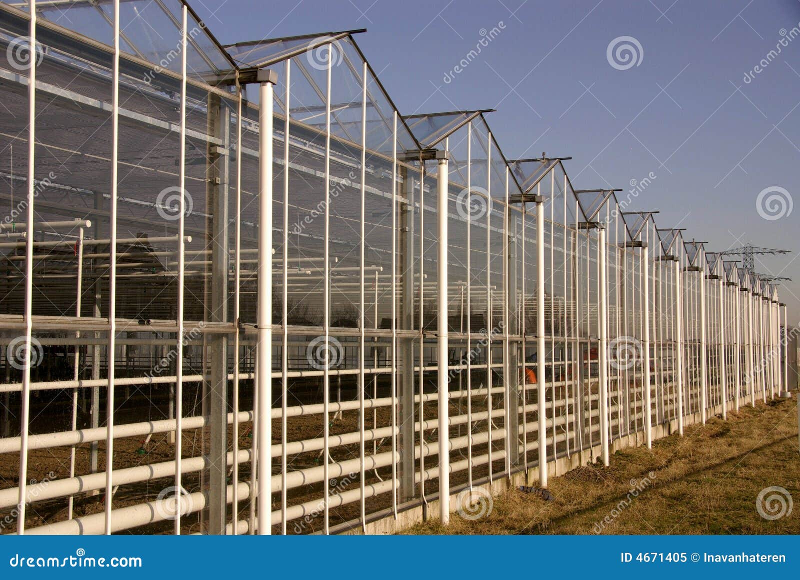 Greenhouse stock image. Image of house, grow, culture - 4671405
