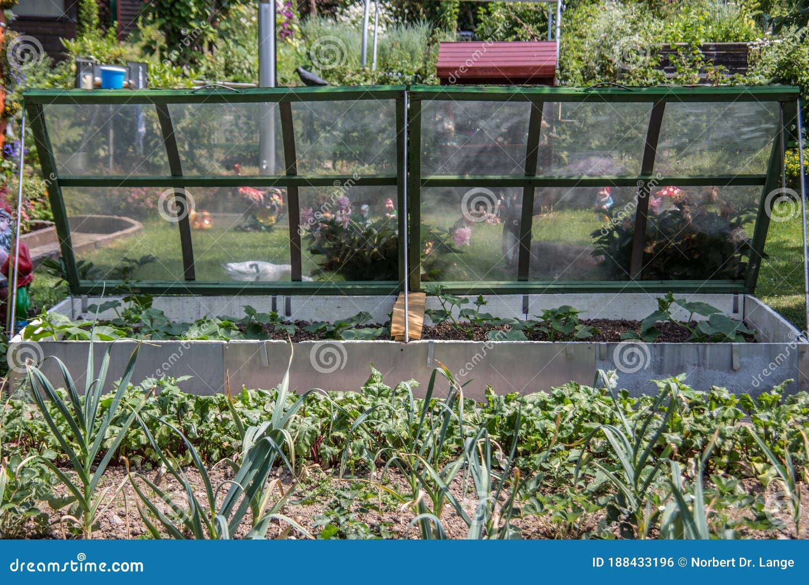 Greenhouse in the Allotment Garden Stock Photo - Image of gnomes, vegetable: 188433196