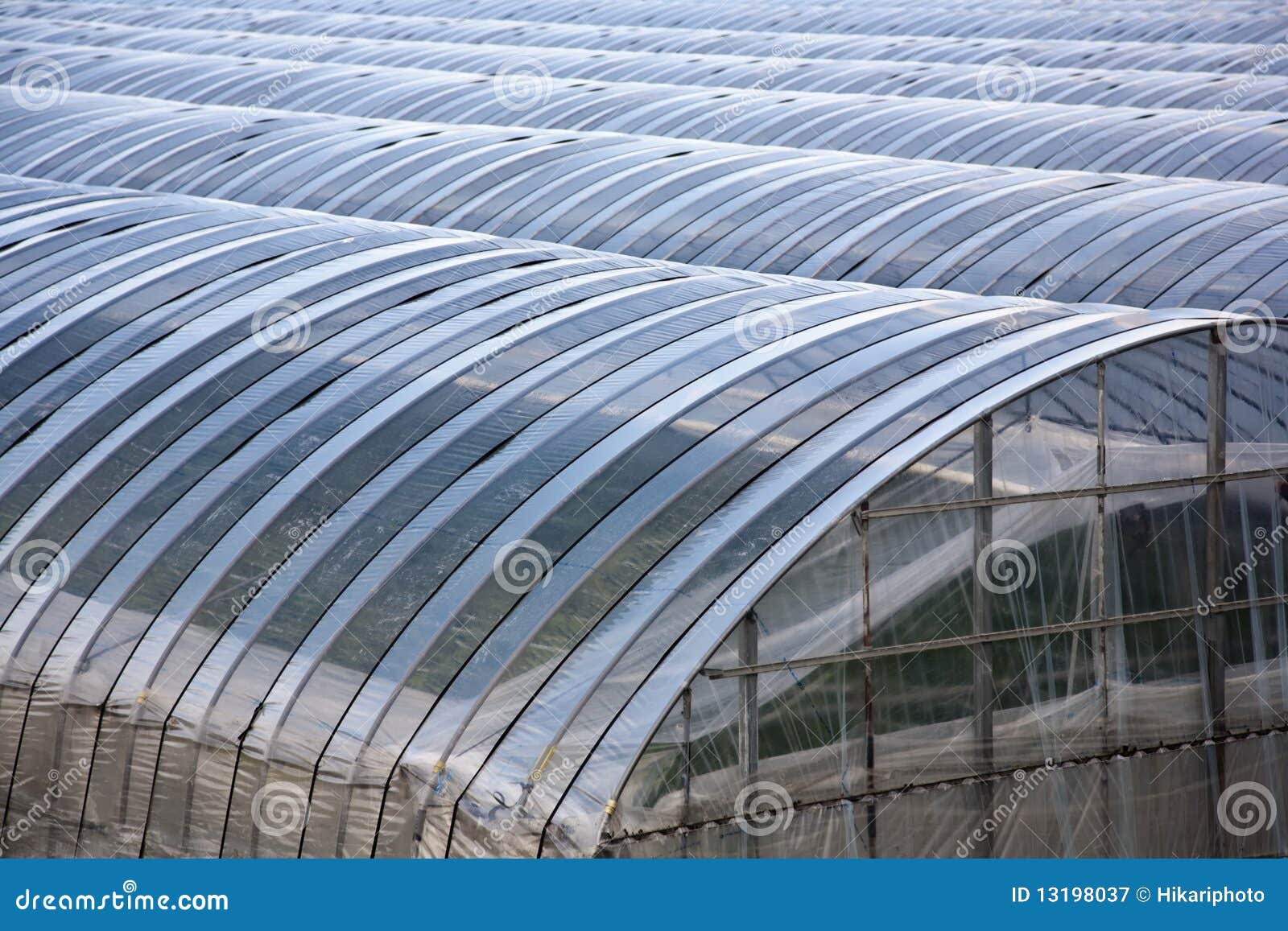 Greenhouse background stock image. Image of farming, greenhouse - 13198037