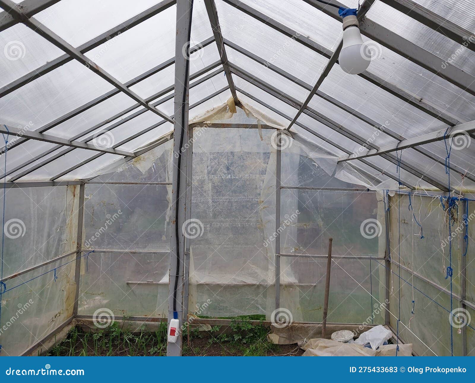 The Greenhouse Film Develops in the Wind Stock Image - Image of wind ...