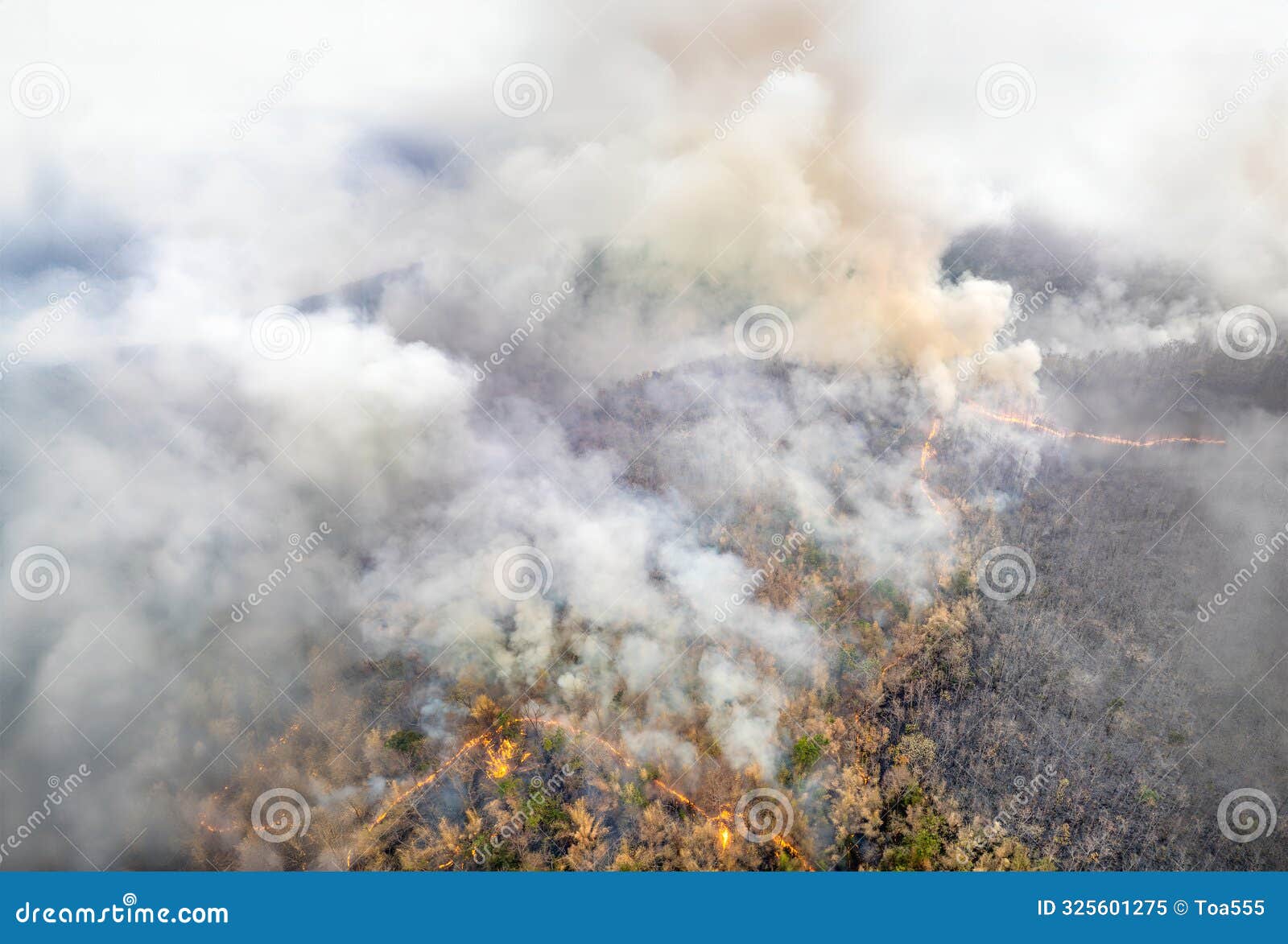 Greenhouse Gas Release from Tropical Forest Fires Stock Image - Image ...