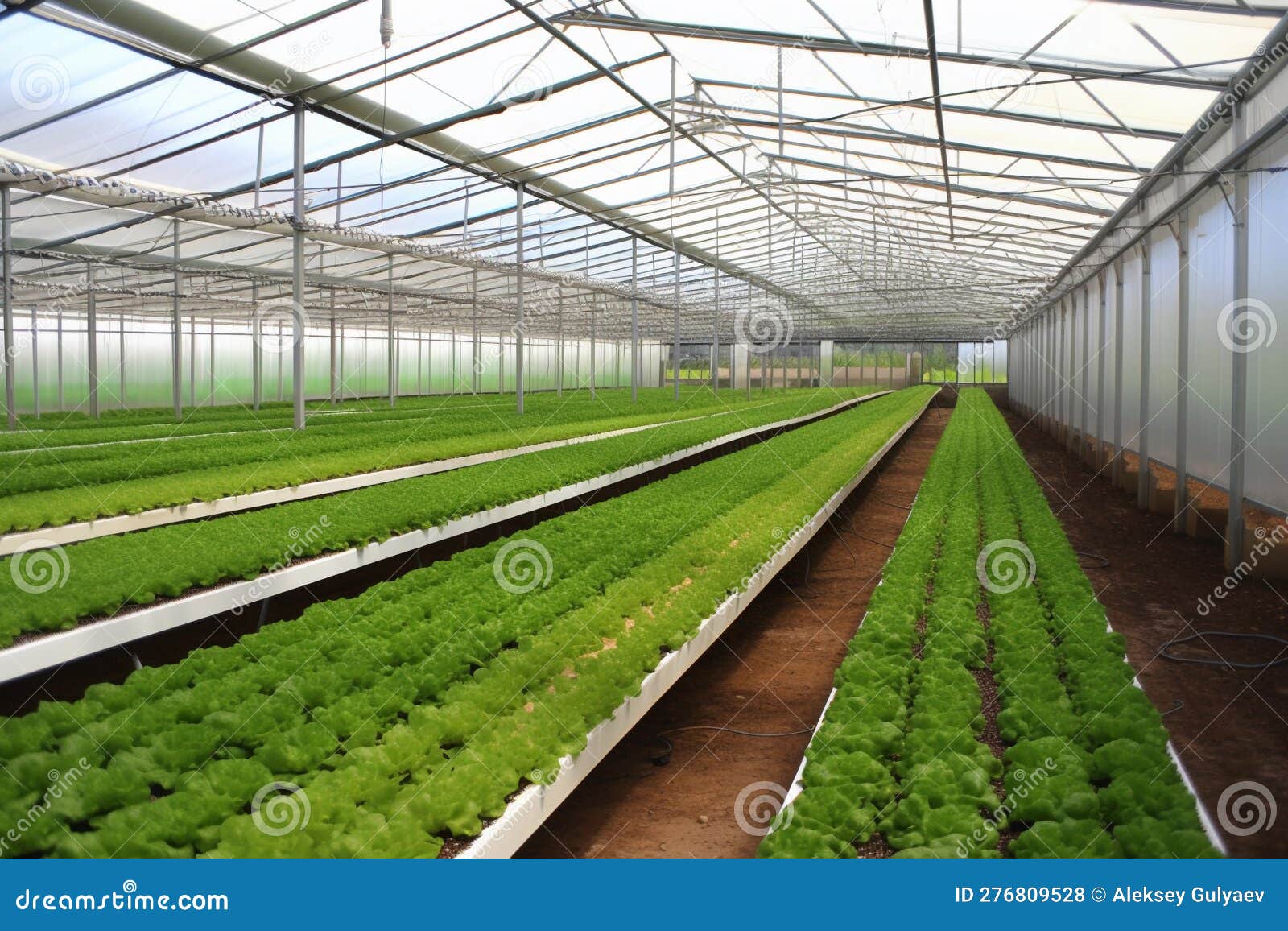 A Greenhouse with a Green Roof and a Large Window Stock Illustration ...