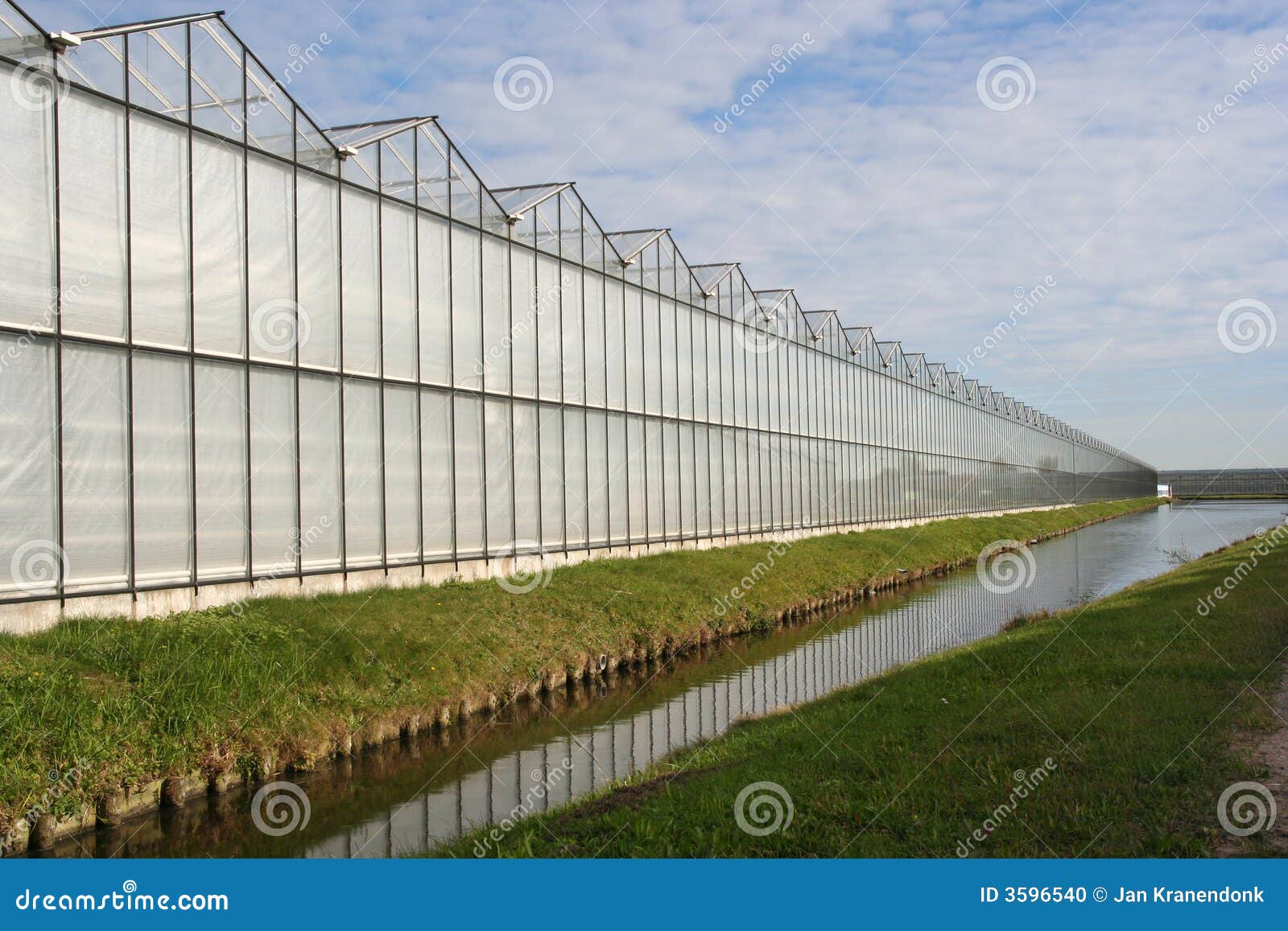 Greenhouse in Holland stock photo. Image of glass, crop - 3596540