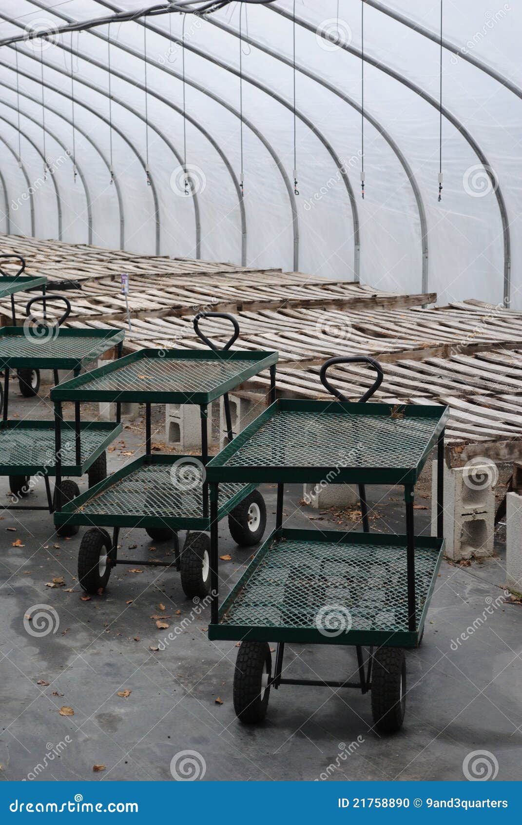 Greenhouse Irrigation and Carts Stock Photo - Image of emitter, drip ...