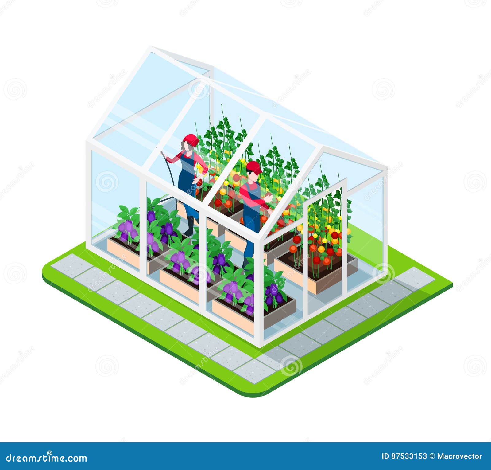 Greenhouse Isometric Flowchart Cartoon Vector | CartoonDealer.com ...
