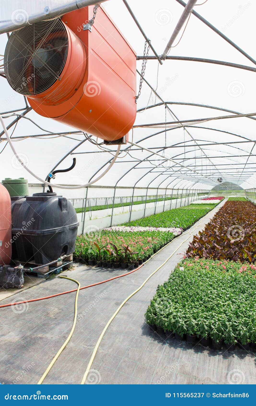 Greenhouse with Microclimate Control. Stock Image - Image of ...