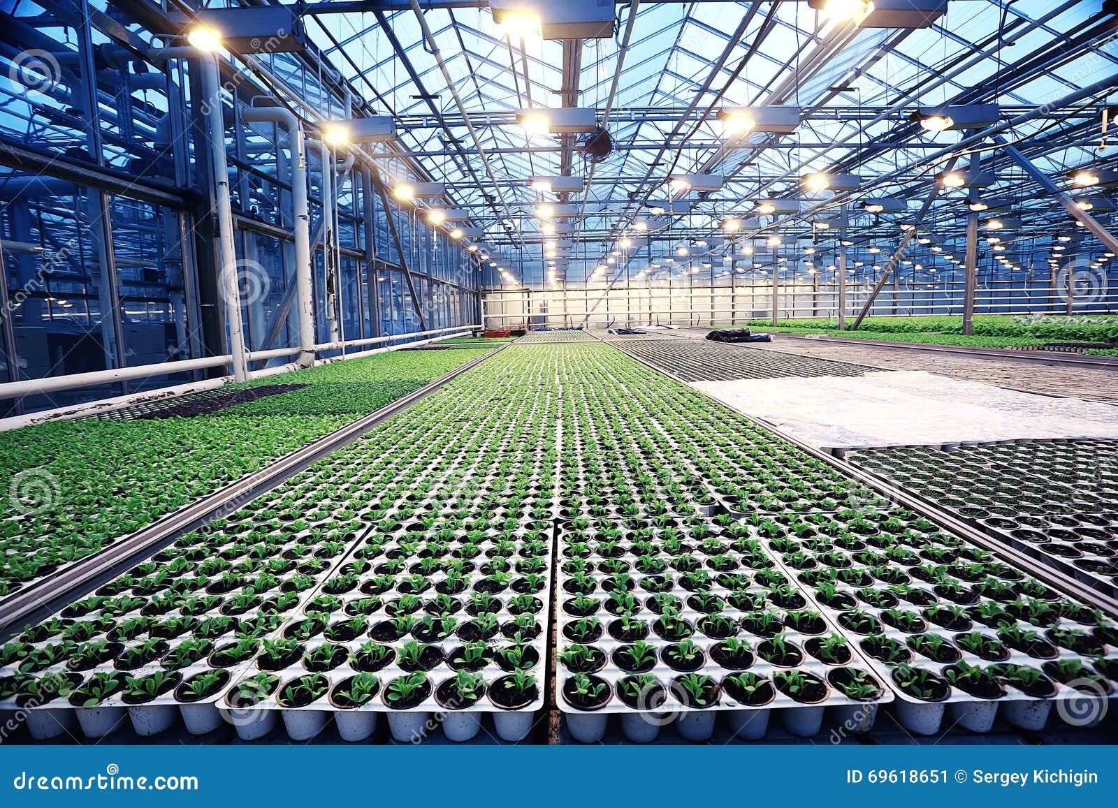 Greenhouse with Seedling Spring Stock Image - Image of nature, farm ...