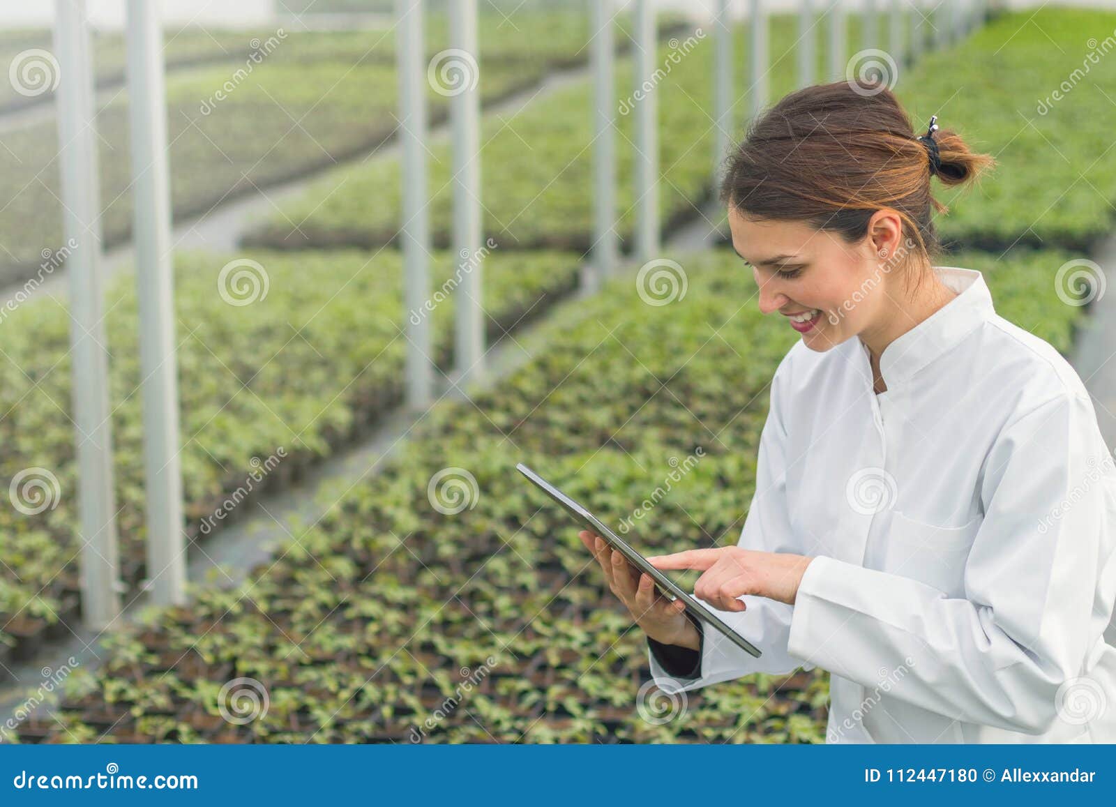 Greenhouse Seedlings Growth. Female Agricultural Engineer Stock Photo ...