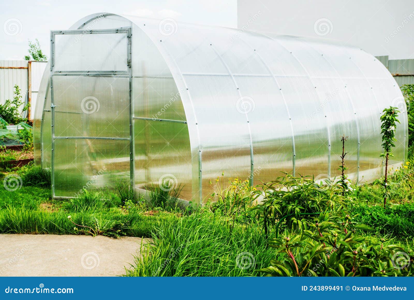 Greenhouse on a Small Farm with Plants in Spring. Greenhouse on the ...