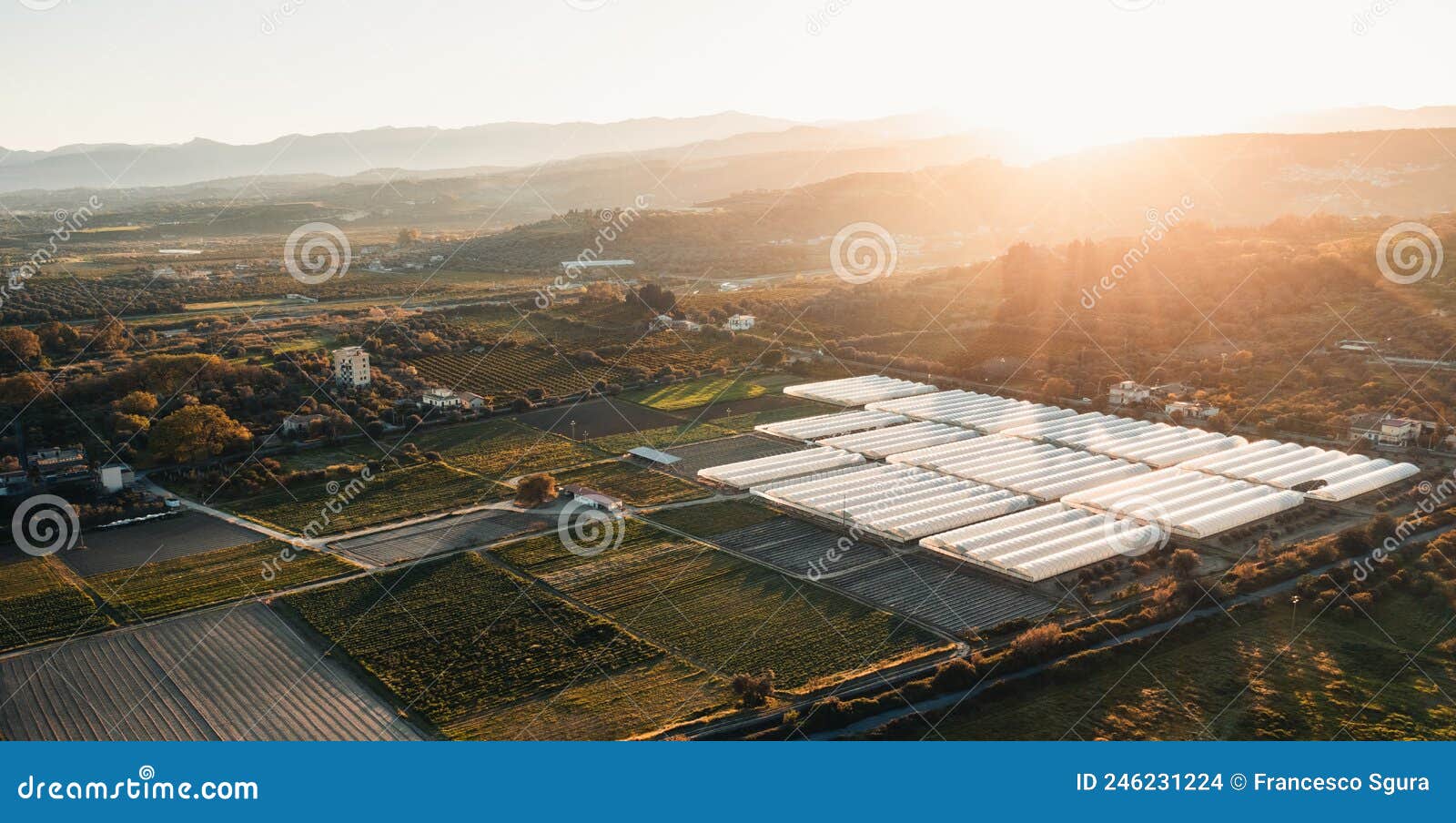 Greenhouse at Sunset Light. Aerial View. Stock Photo - Image of ...