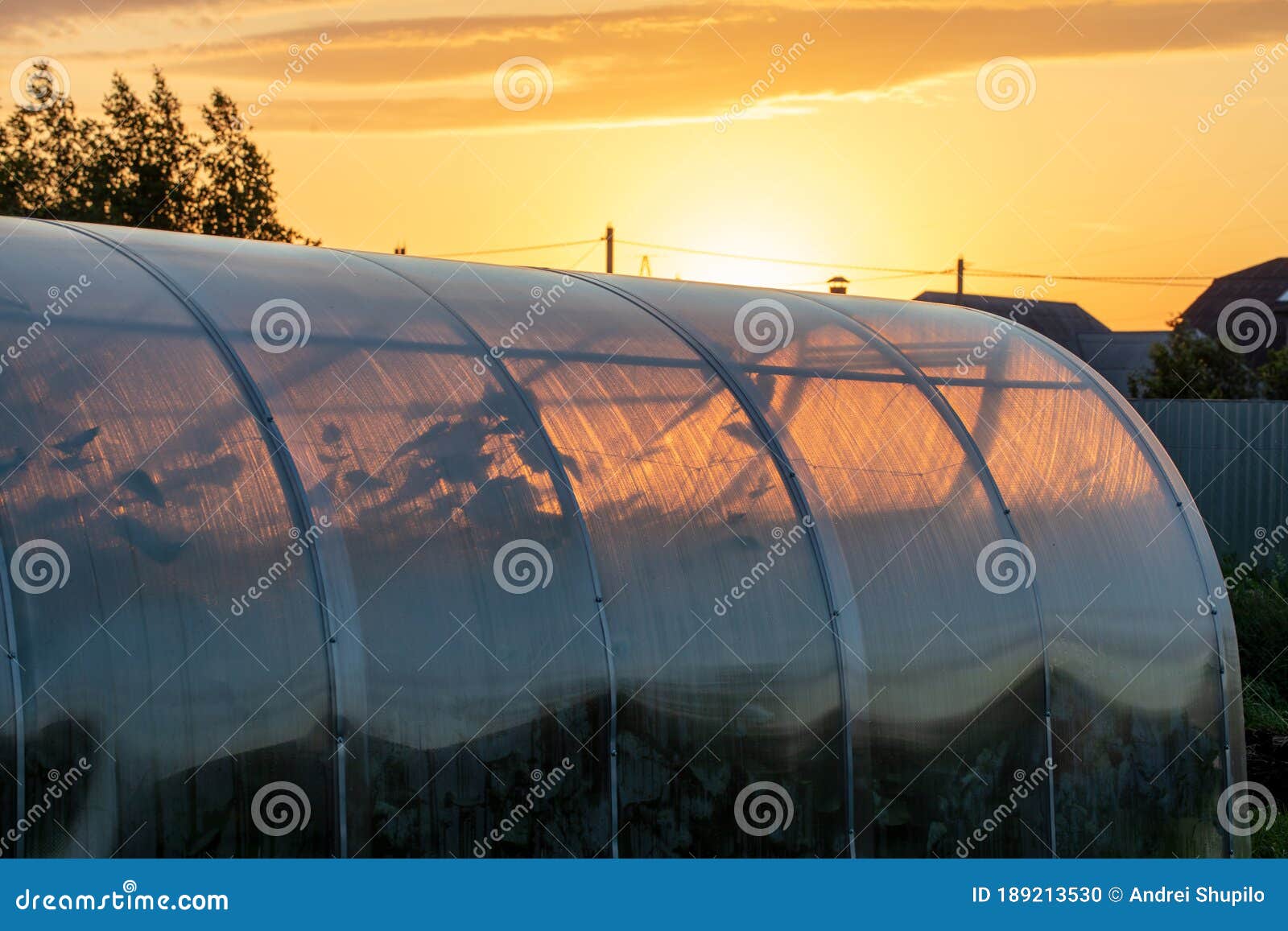 Greenhouse in the Sunset Light Stock Photo - Image of house, rural ...
