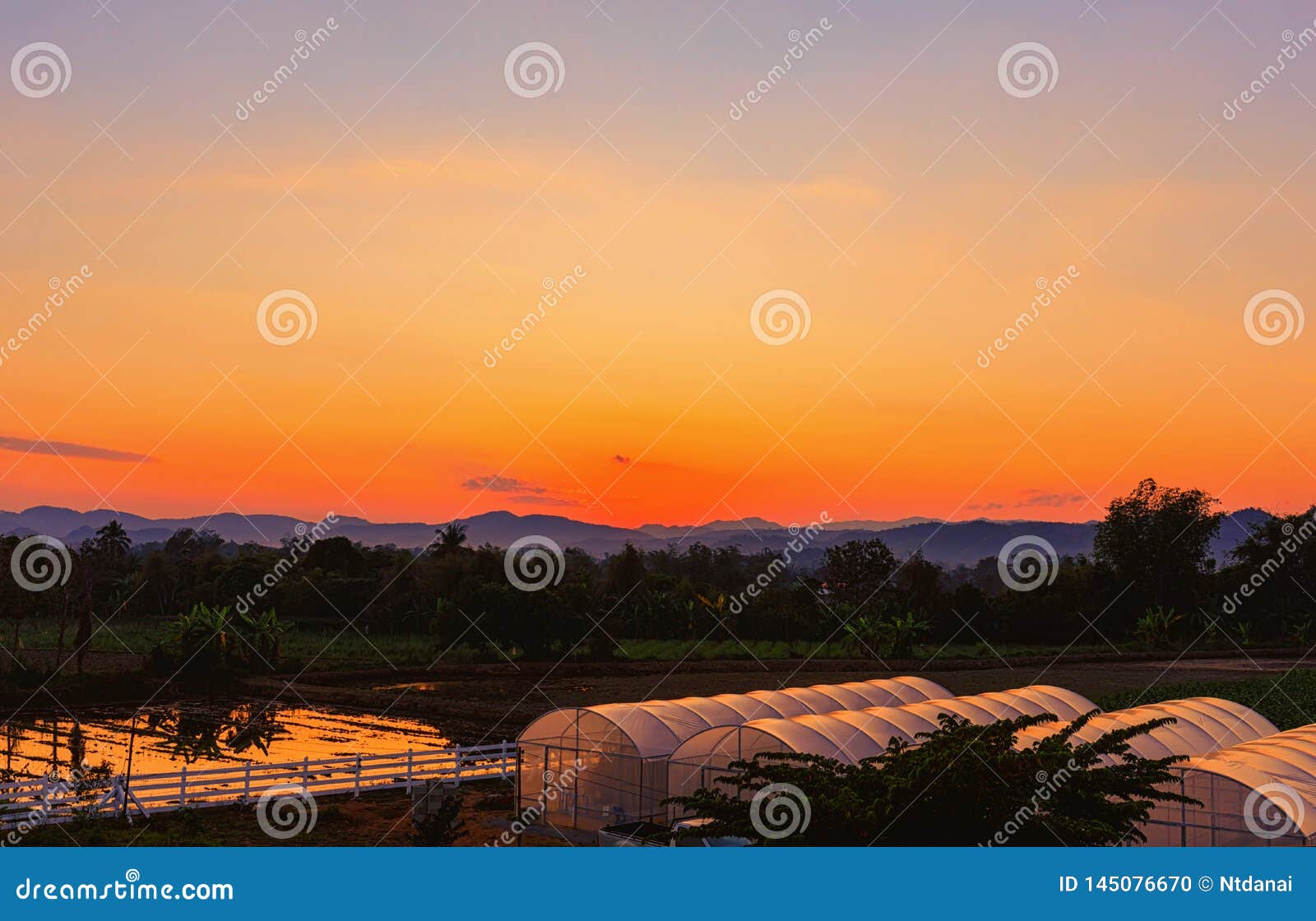 Greenhouse at the Sunset Sky Stock Photo - Image of dusk, cultivation ...