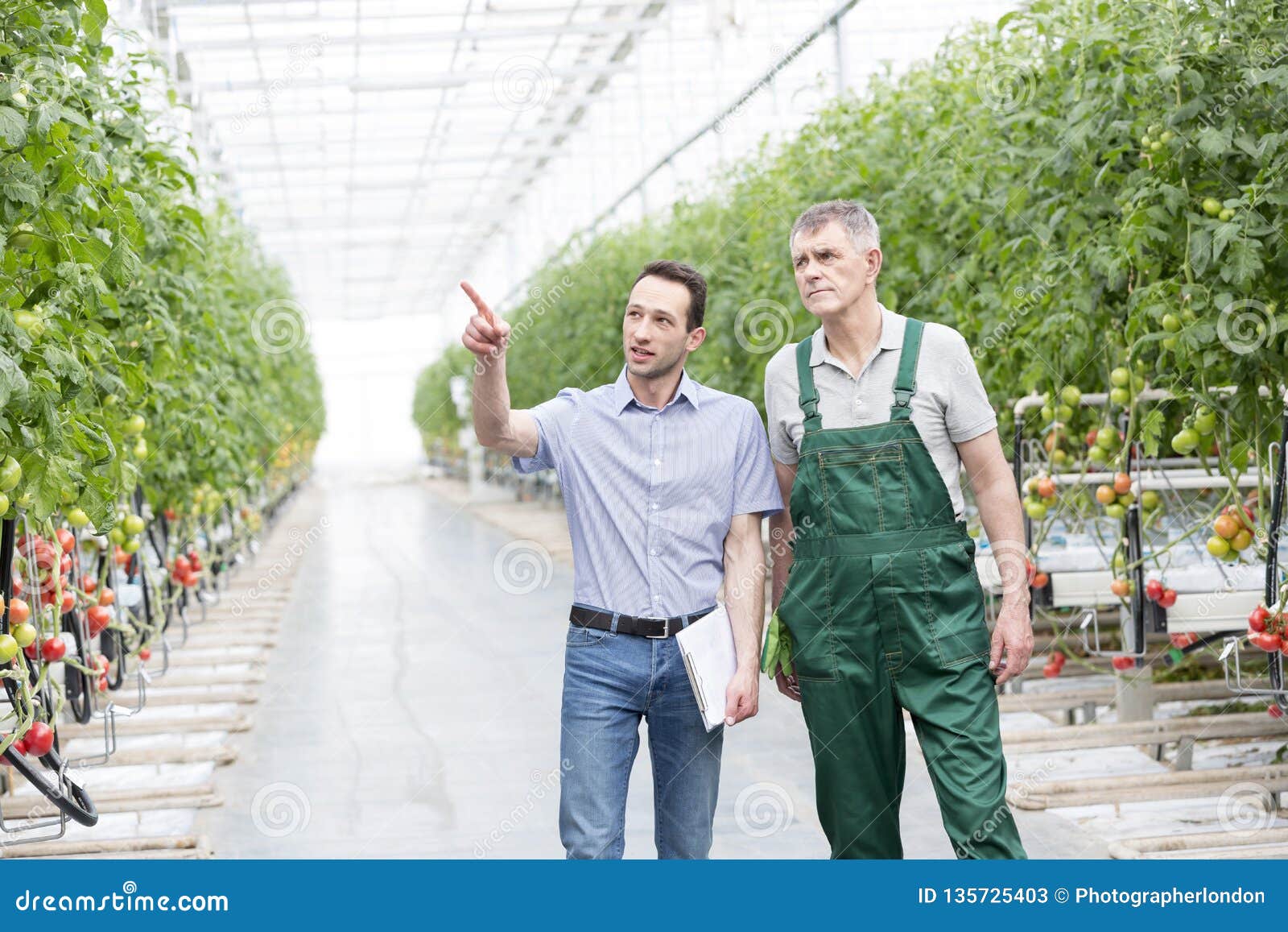 Supervisor Pointing at Plant while Discussing with Farmer in Greenhouse ...