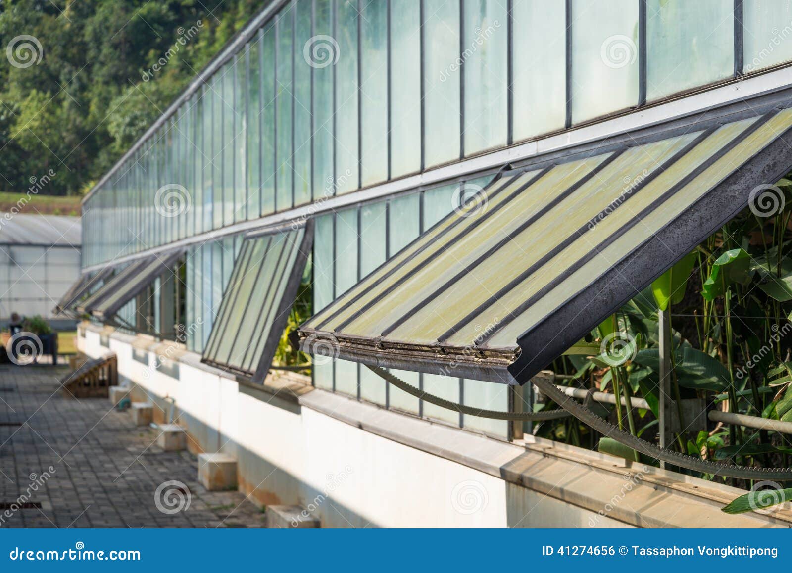Greenhouse windows stock photo. Image of greenhouse, ventilation - 41274656