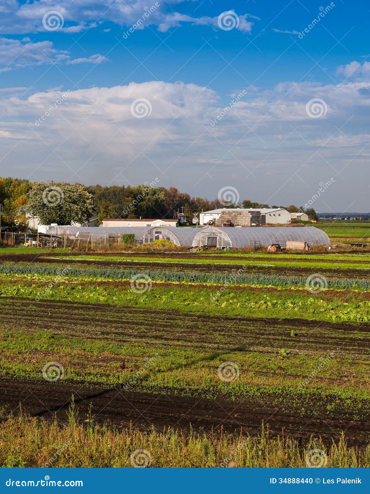 Greenhouses and Adjoining Fields Stock Photo - Image of greenhouses ...