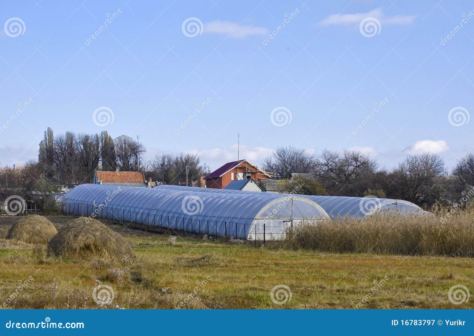 Greenhouses in Ukrainian Farm Stock Image - Image of plastic, autumn ...