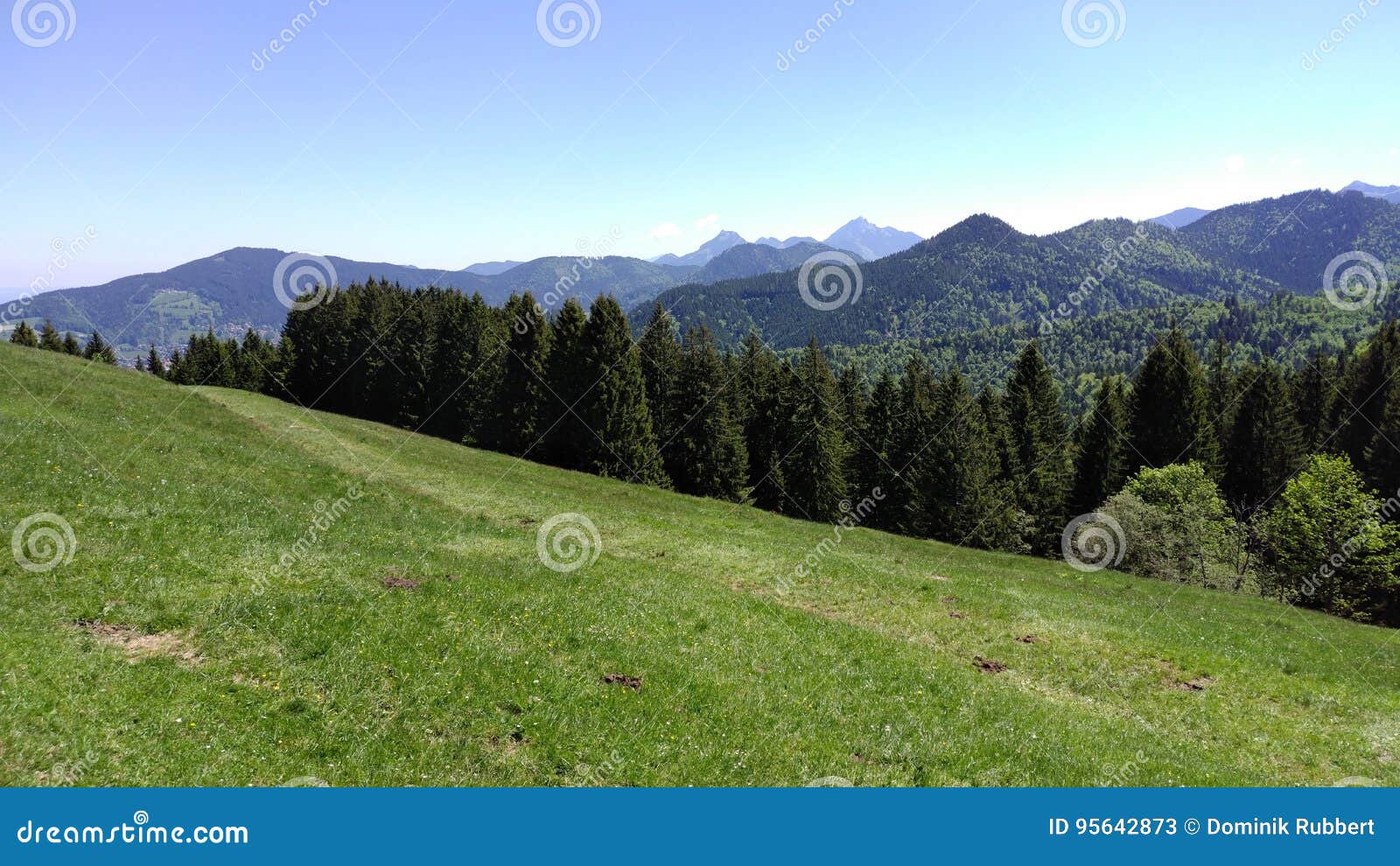 Greenland stock image. Image of hills, bavaria, forest - 95642873