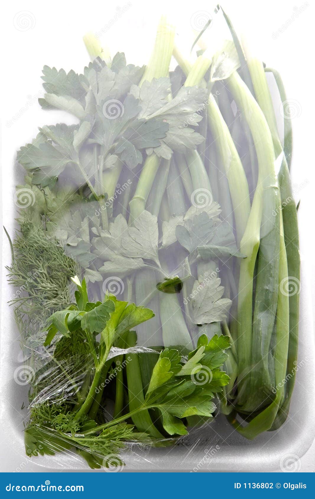 Greens in packing stock photo. Image of embrace, close - 1136802