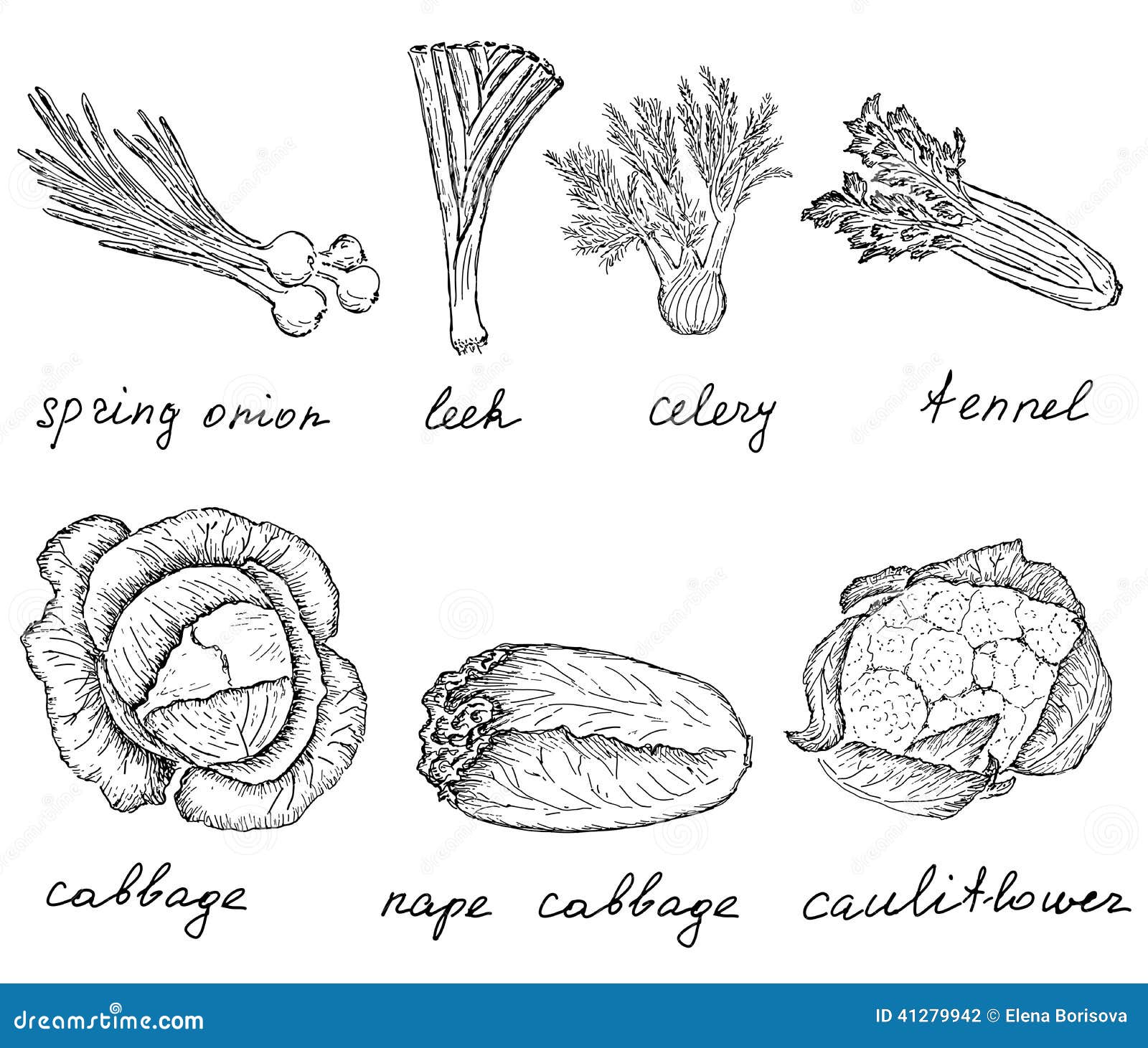 Greens set stock vector. Illustration of leaf, drawing - 41279942