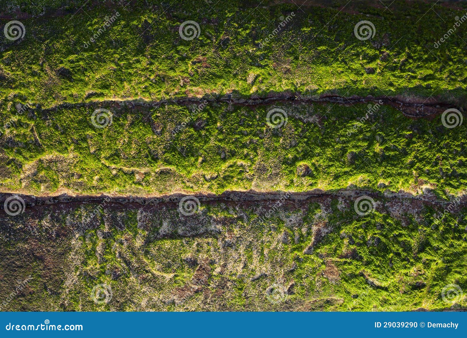 Greenstone stock photo. Image of effect, pattern, backgrounds - 29039290