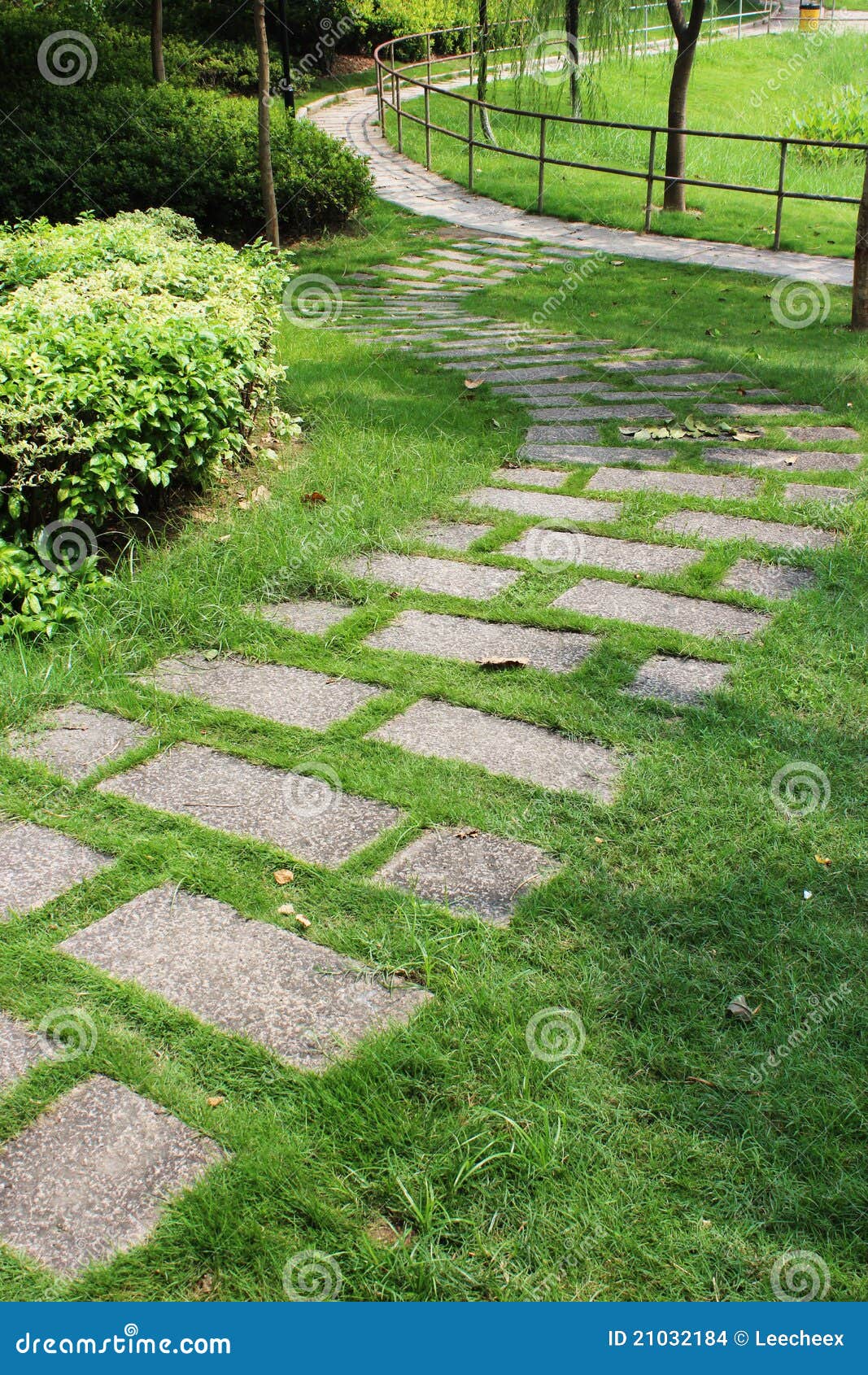 Greensward walkway stock photo. Image of light, grass - 21032184