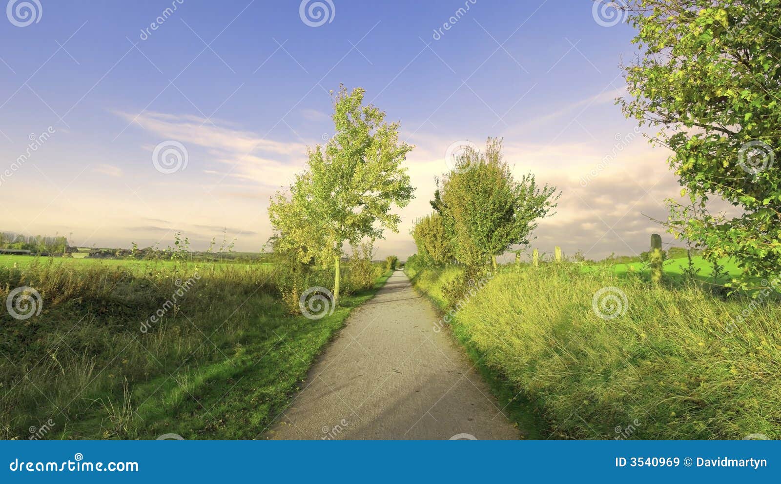 Greenway stock image. Image of country, greenway, stratford - 3540969