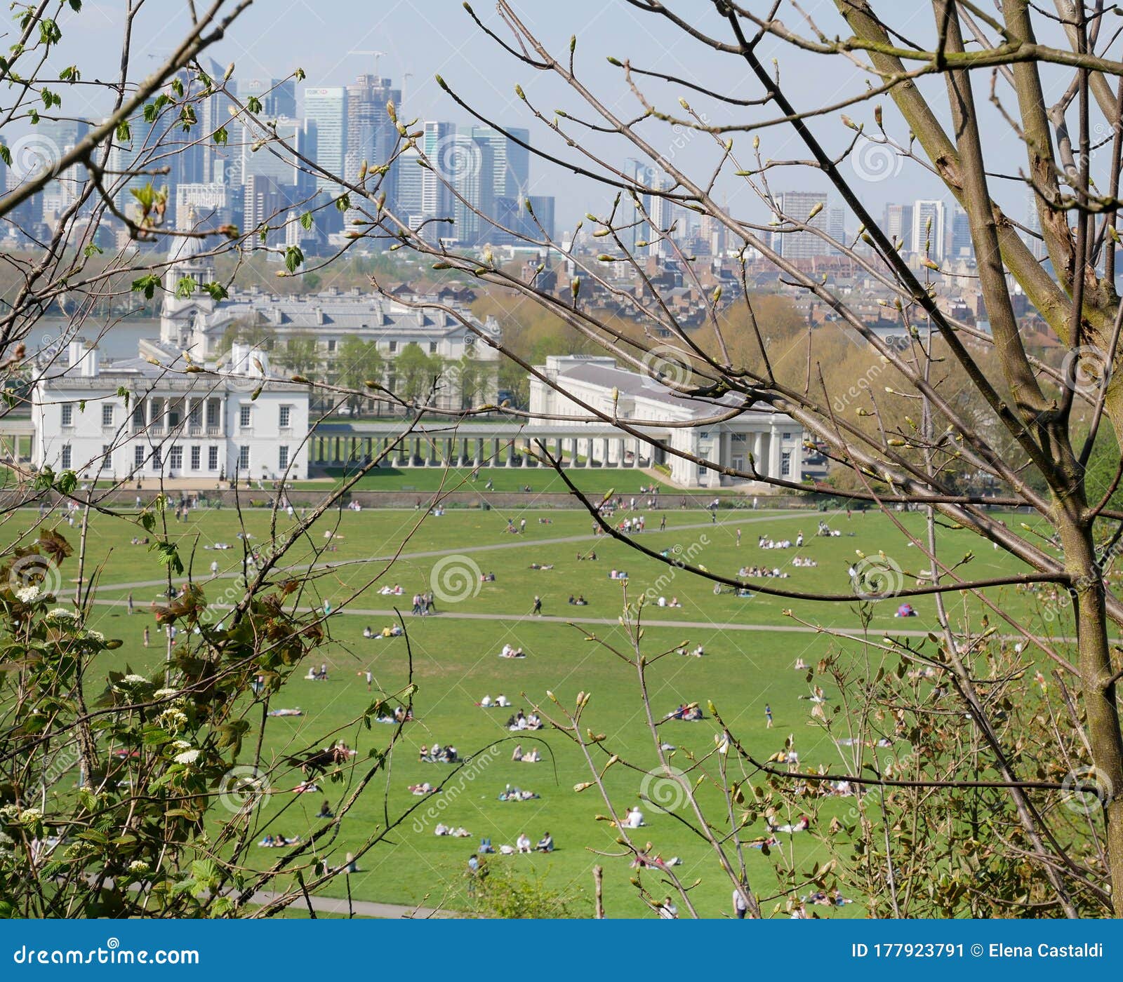 The Greenwich Park in London Stock Image - Image of panorama, forest ...