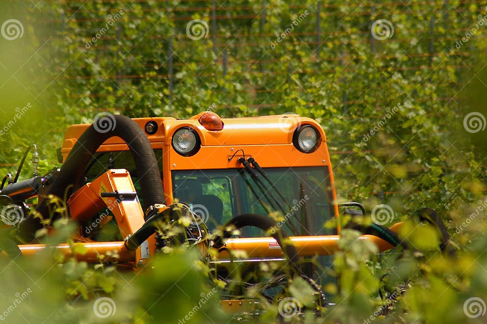 Greenwork stock photo. Image of leaf, work, green, farmer - 9113892