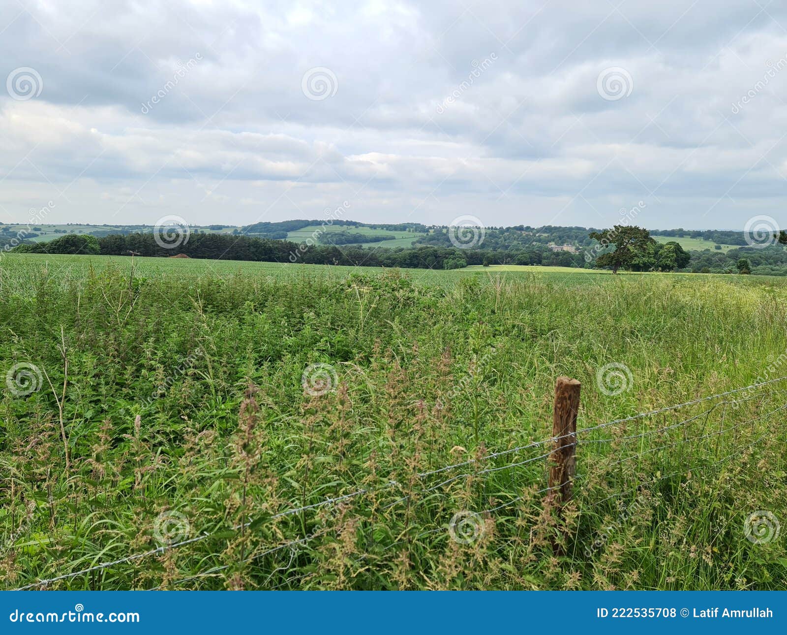 Greeny Grass of West Yorkshire Stock Photo - Image of grassland, meadow ...