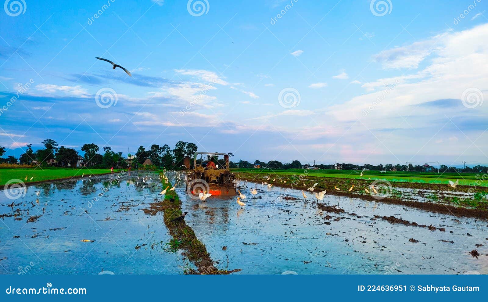 Greeny View with Blue and White Sky. Editorial Photo - Image of boating ...