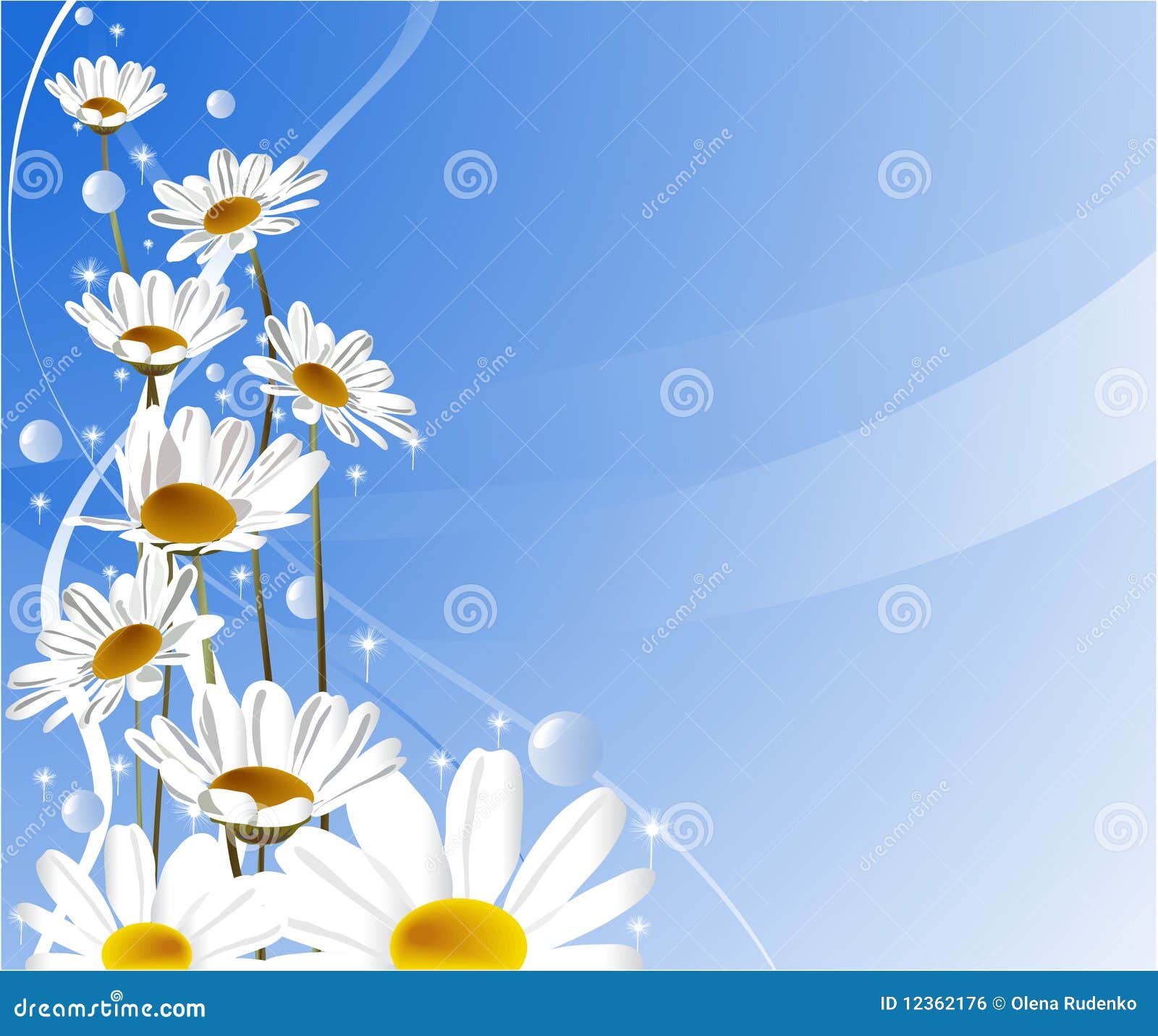 Greeting card with daisies stock vector. Illustration of perfume - 12362176