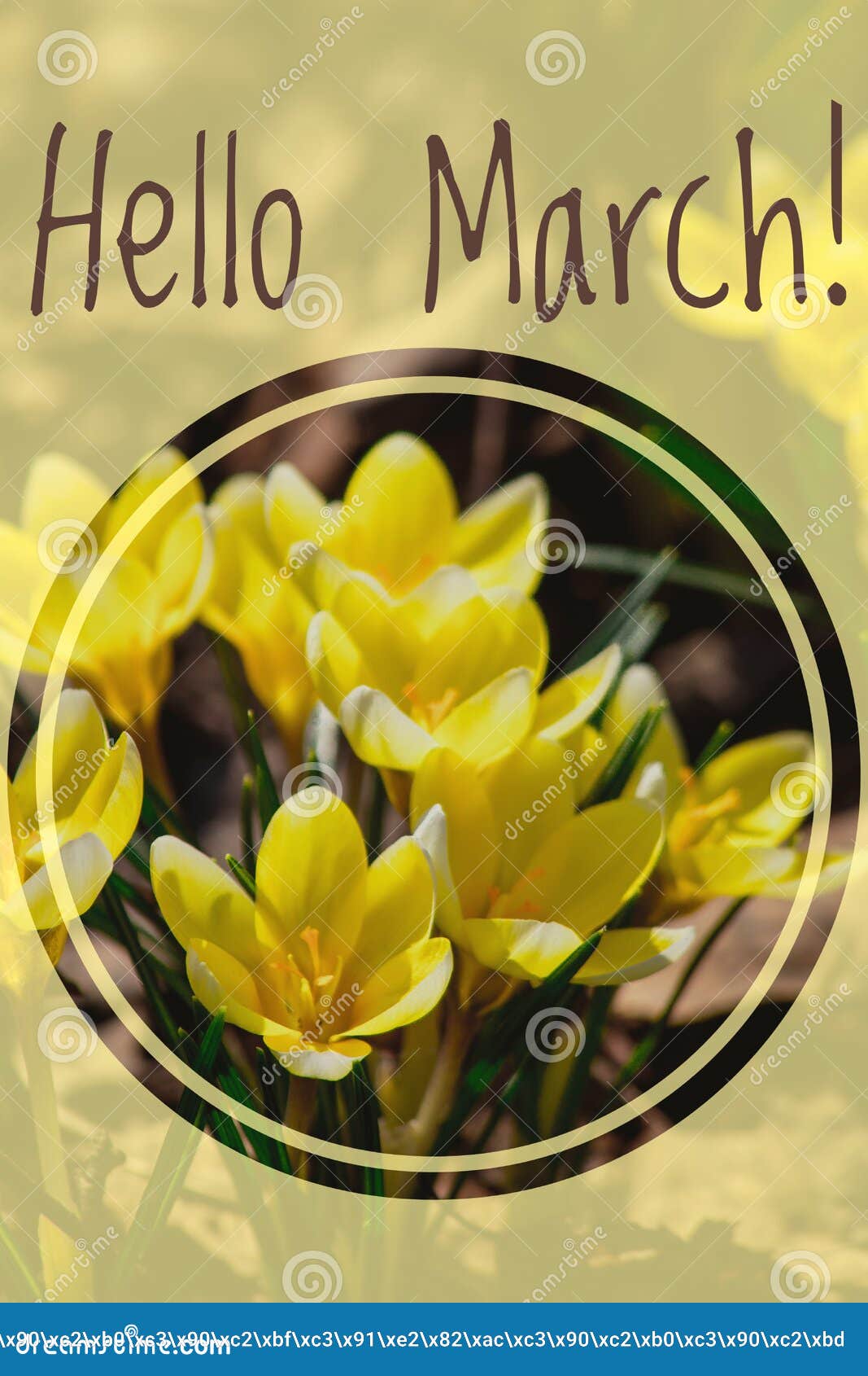 Greeting Card Hello March Welcome Card the Beginning of Spring Stock ...