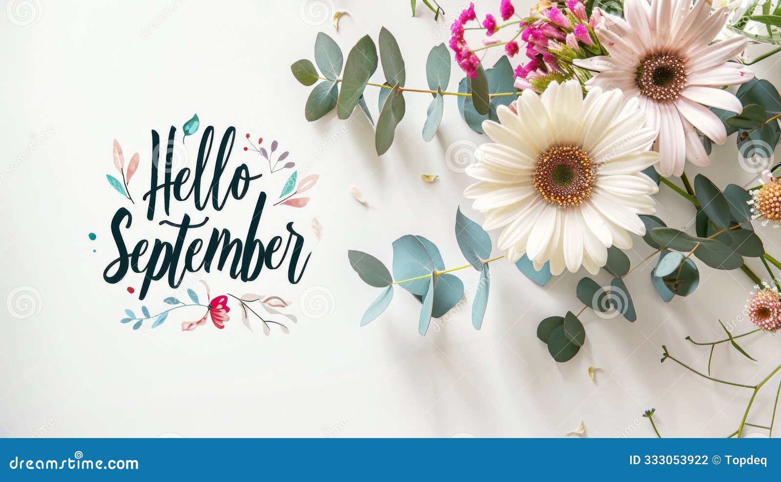 Greeting Card with Hello September Text and Flowers on White Background ...