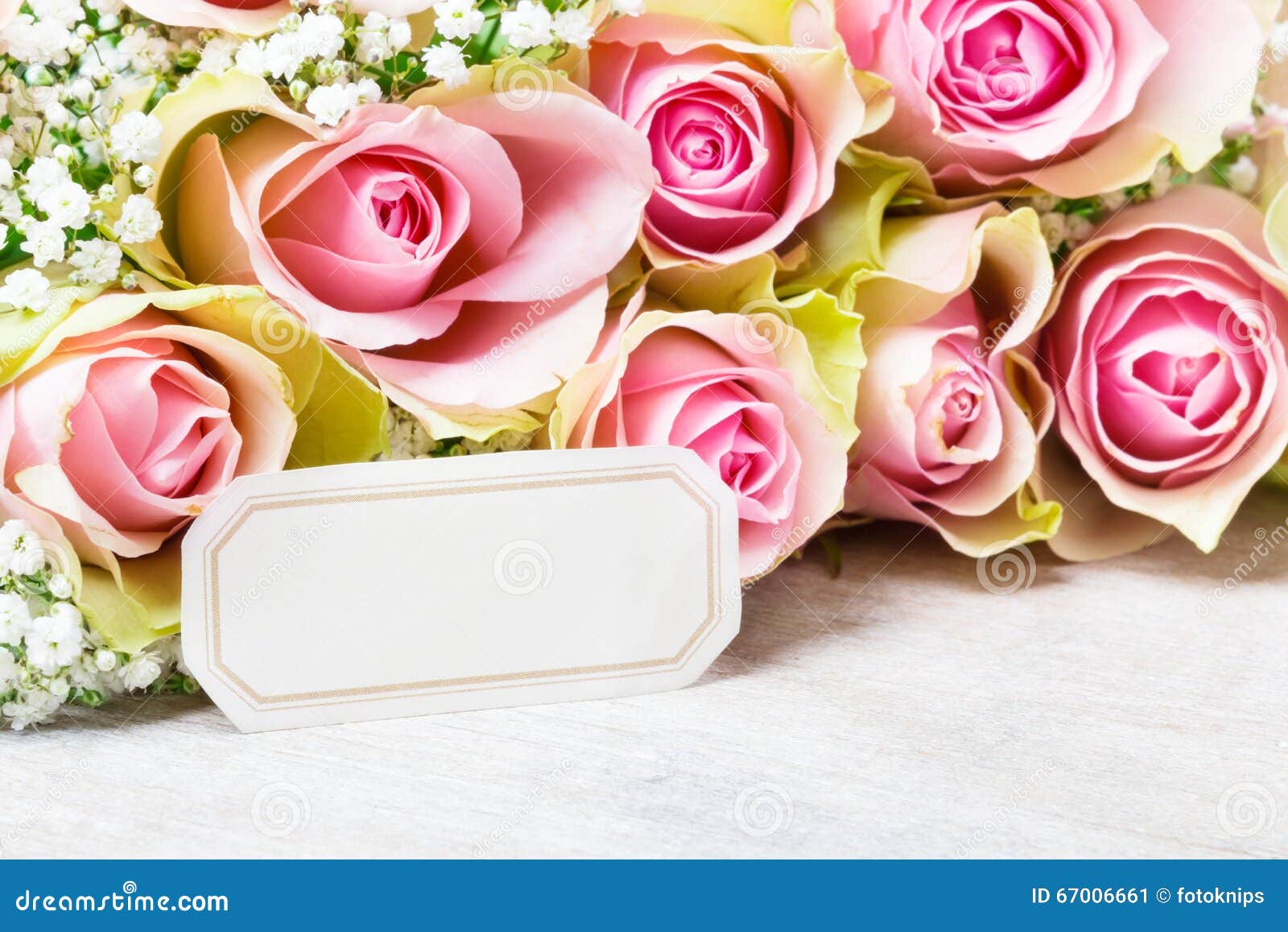 Greeting Card, pink roses stock image. Image of greeting - 67006661