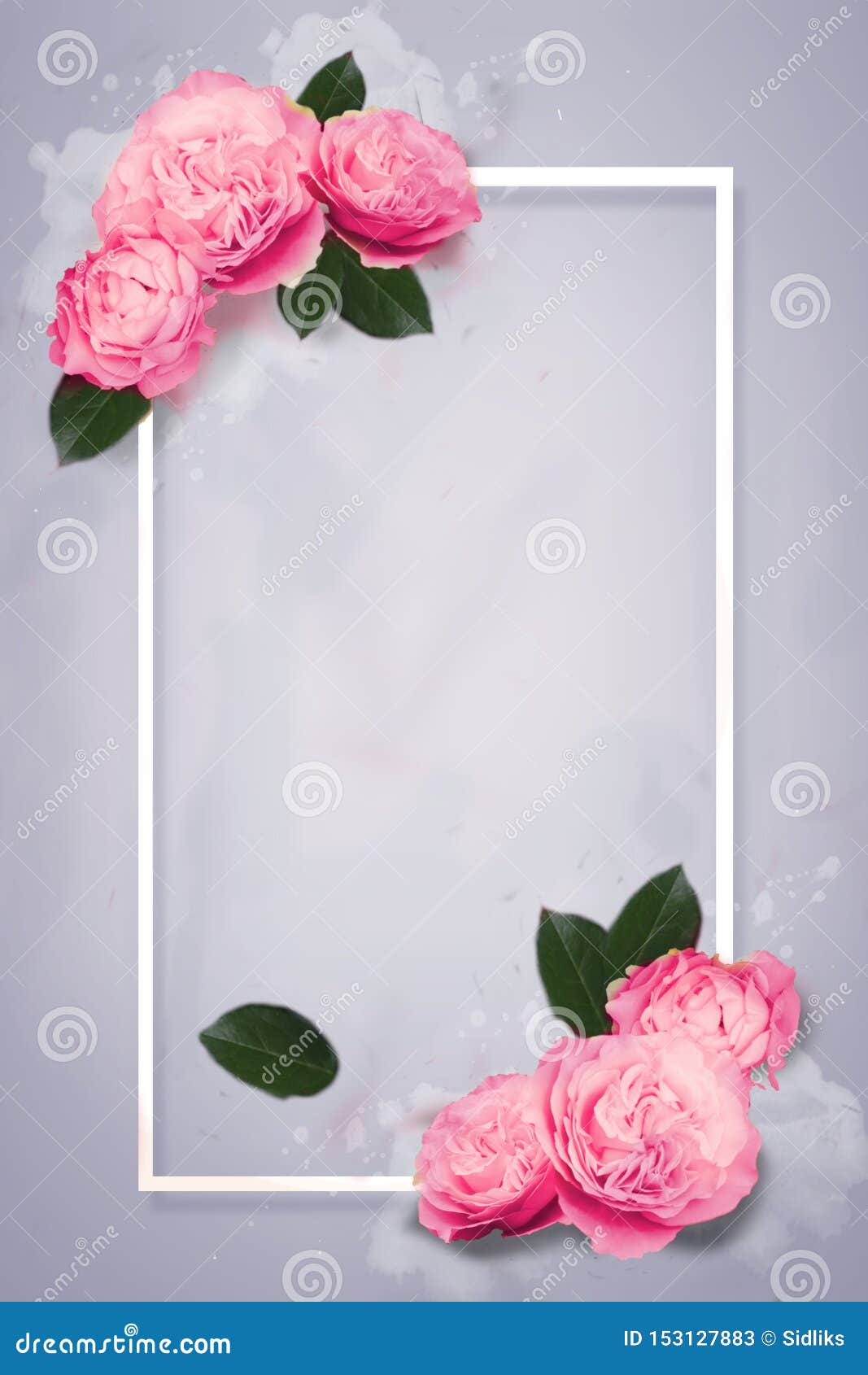 Greeting Card with Pink Roses Stock Image - Image of greeting, card ...