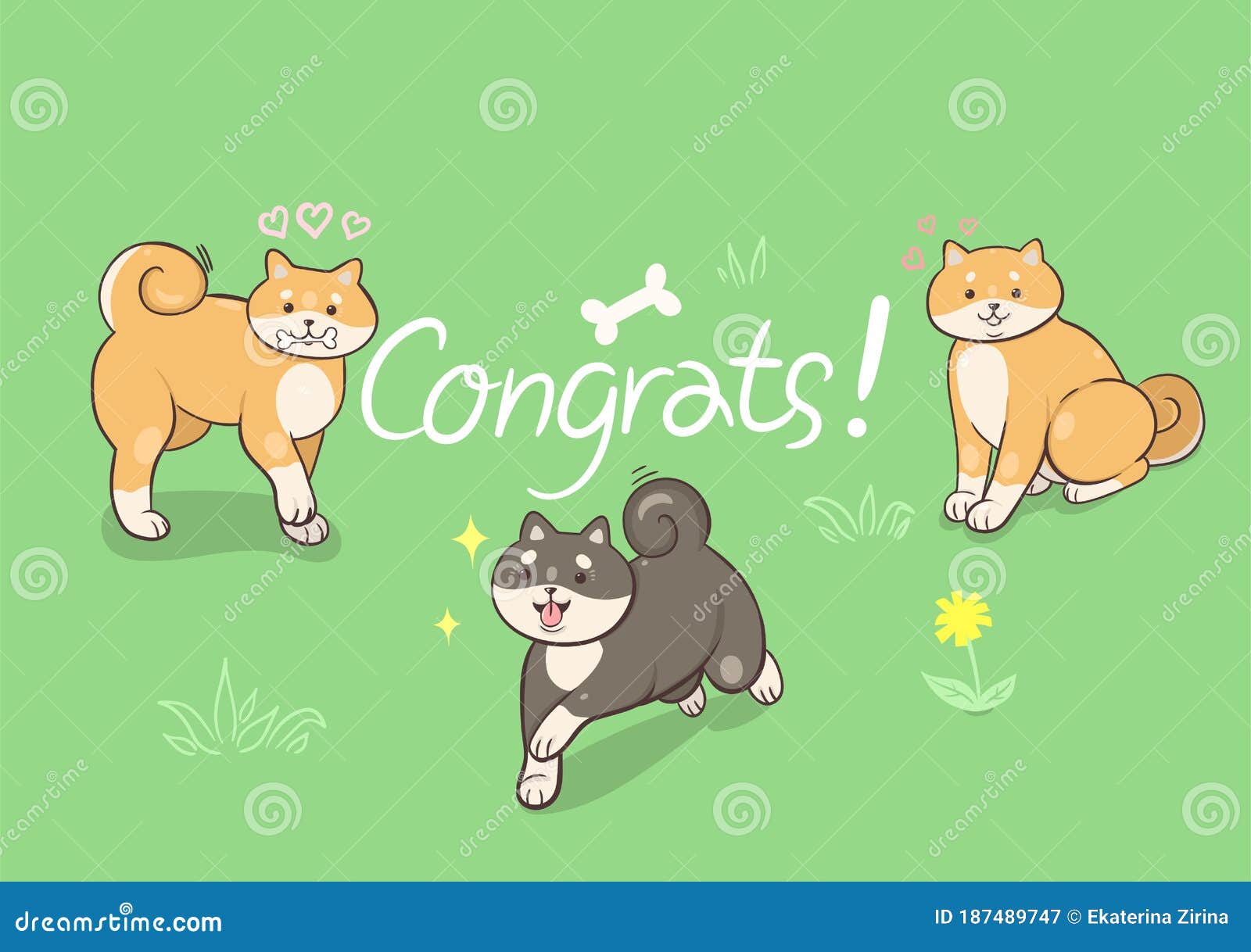 Greeting Card with Shiba Inu. Congrats. Vector Graphics Stock ...