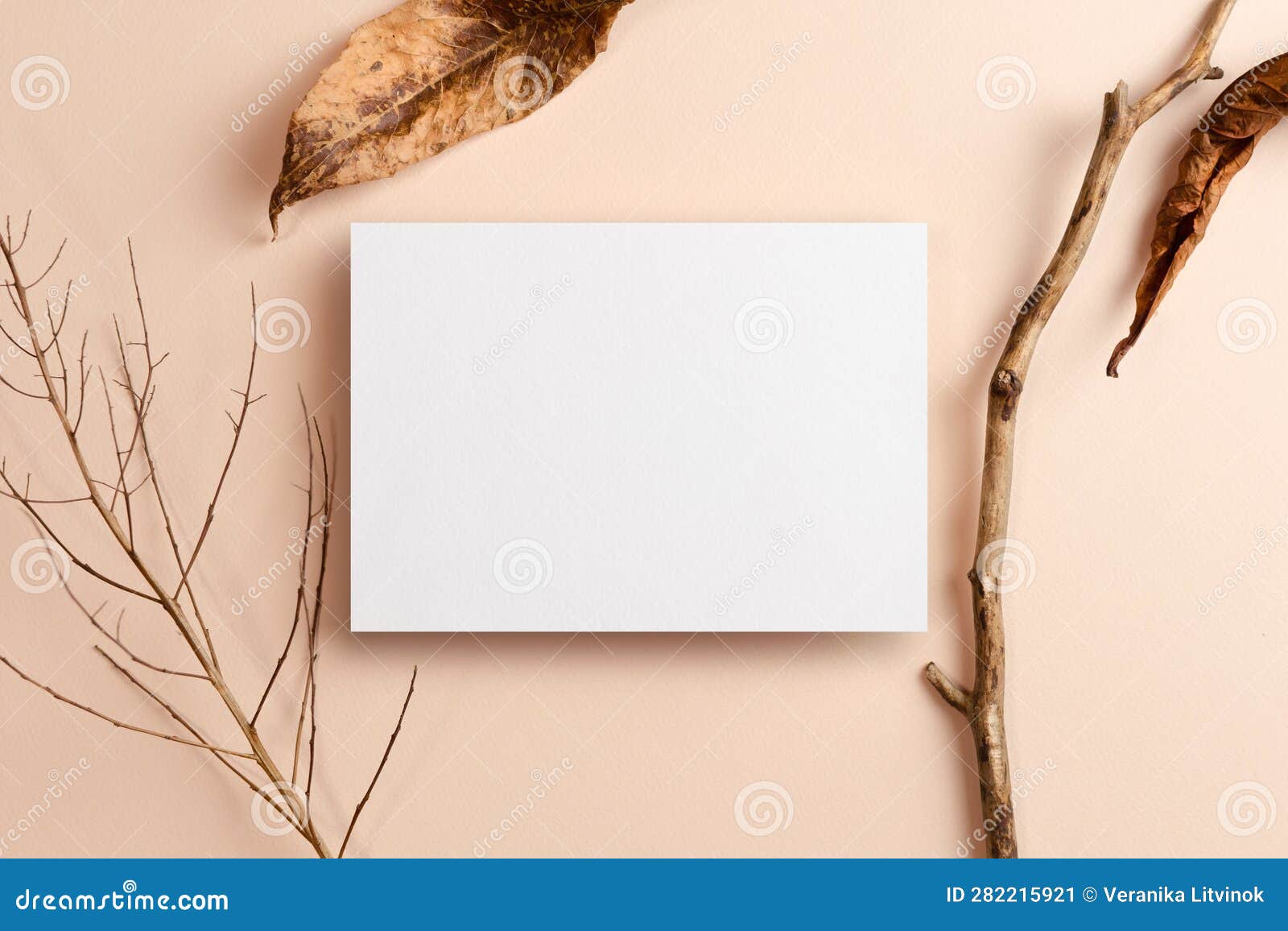 Greeting or Invitation Card Mockup with Nature Decorations on Beige ...