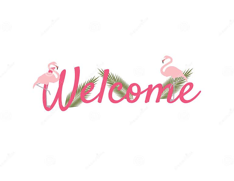 Welcome Sign, Pink Flamingos and Text, Green Palm Leaves Stock Vector ...