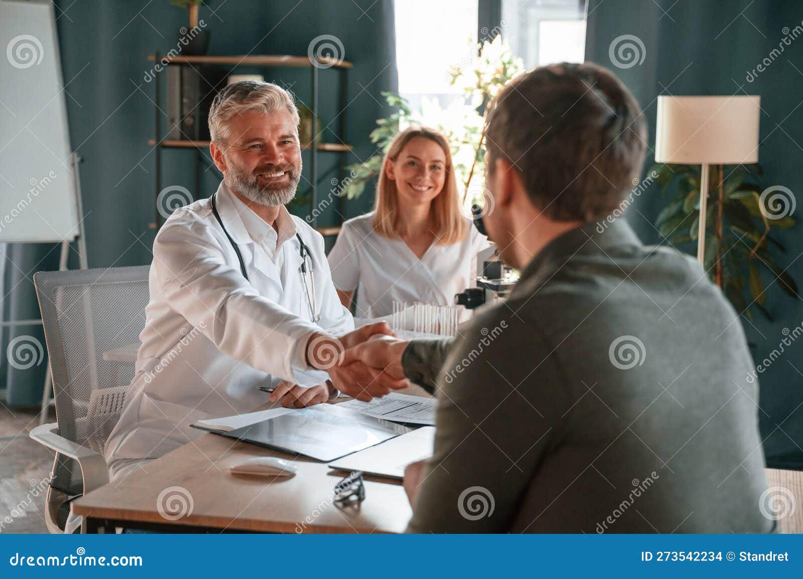 Greetings, Making Handshake. Two Doctors Consult a Patient in a Clinic ...