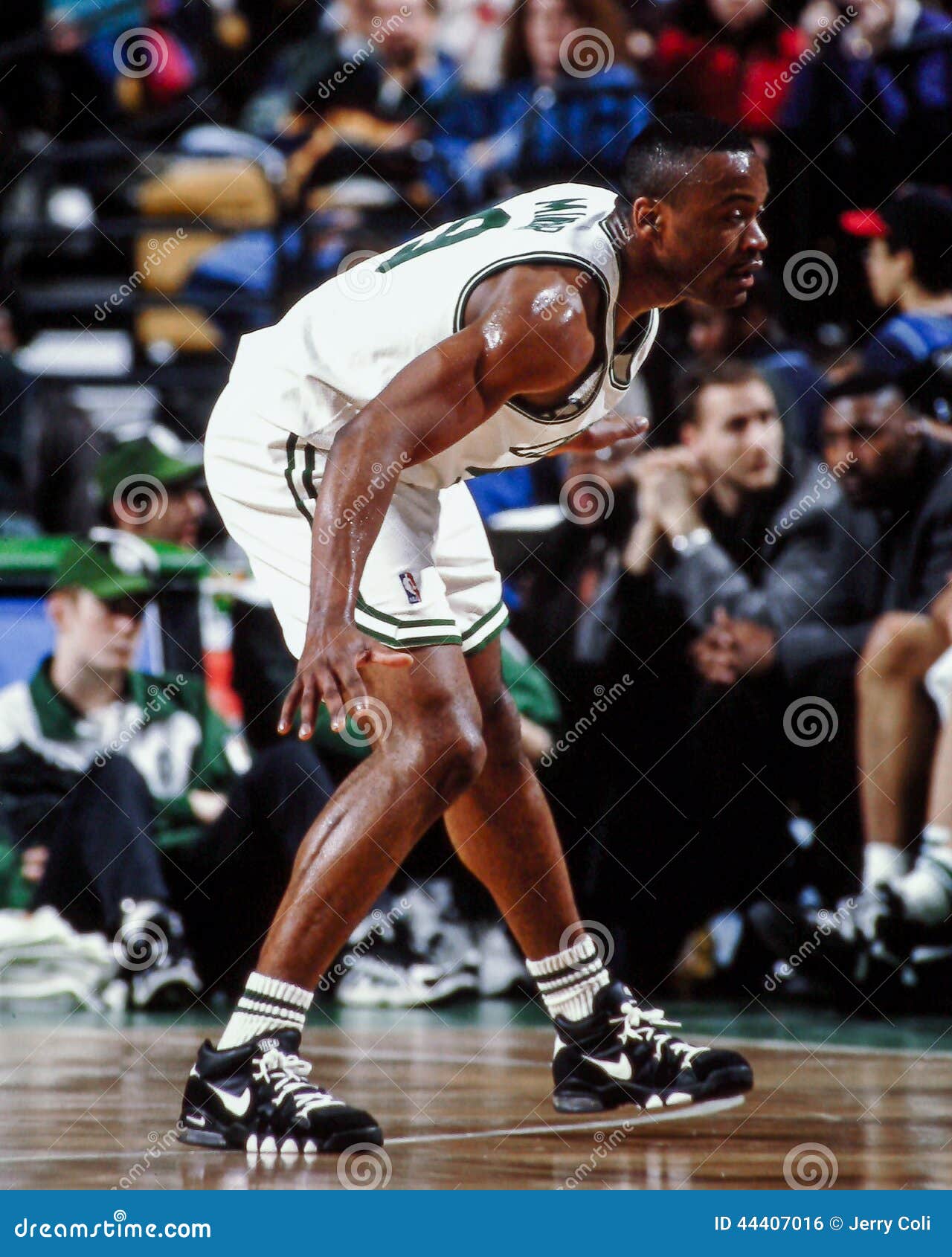 Greg Minor, Boston Celtics. Editorial Photo - Image of point ...