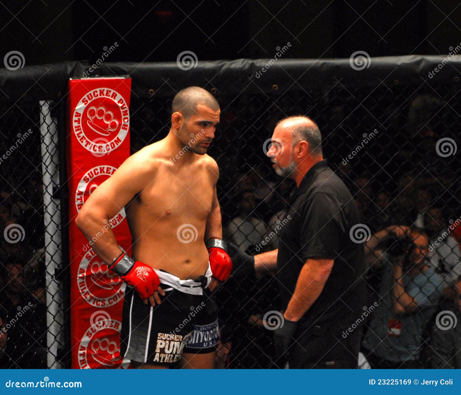Greg Rebello Mixed Martial Artist Editorial Stock Image - Image of ...