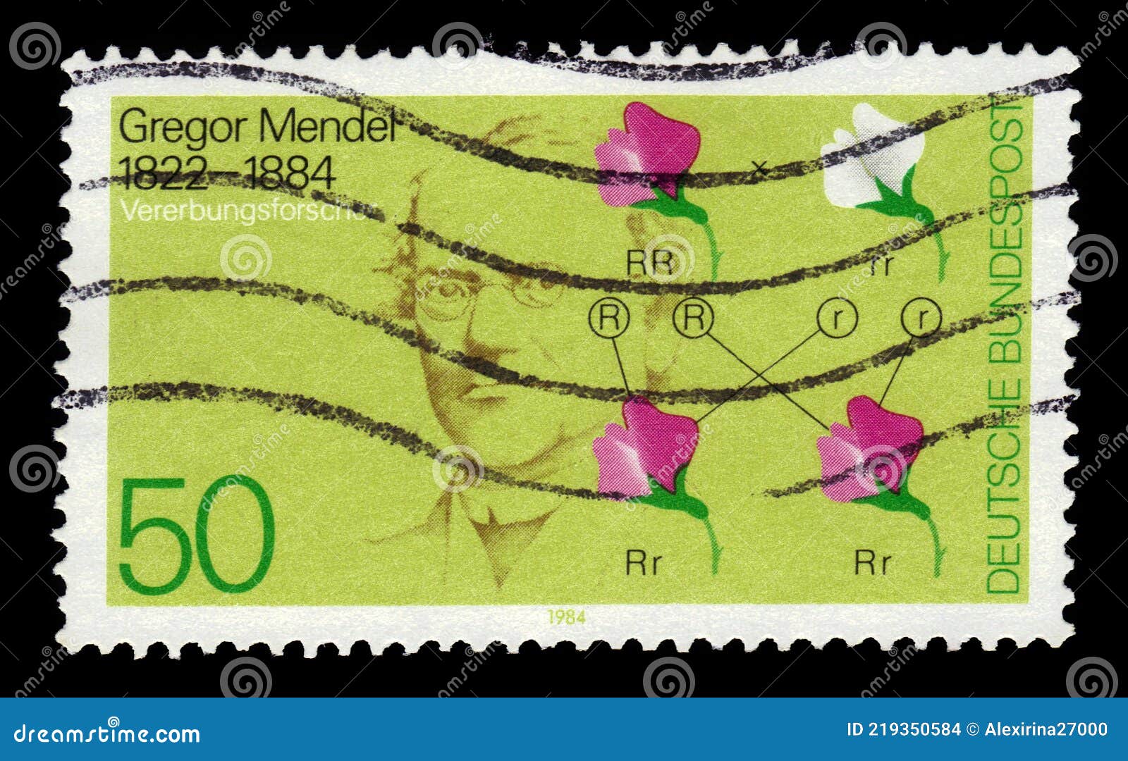 Gregor Mendel and Genetic Diagram Editorial Stock Image - Image of ...