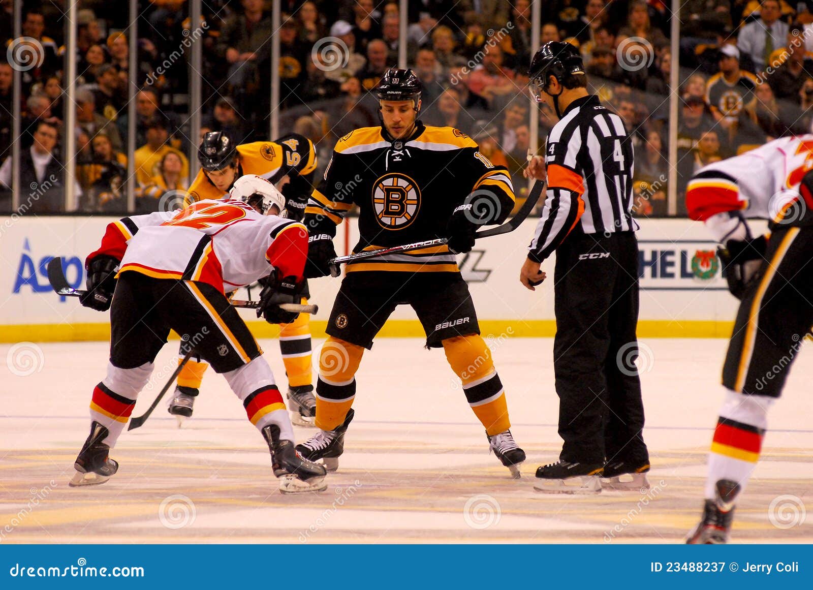 Gregory Campbell Boston Bruins. Editorial Photography - Image of glove ...