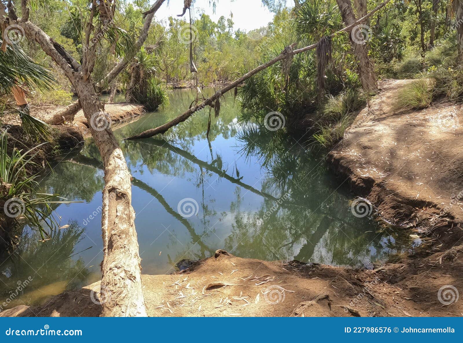 Gregory River ,north Queensland. Stock Photo - Image of trees, calm ...