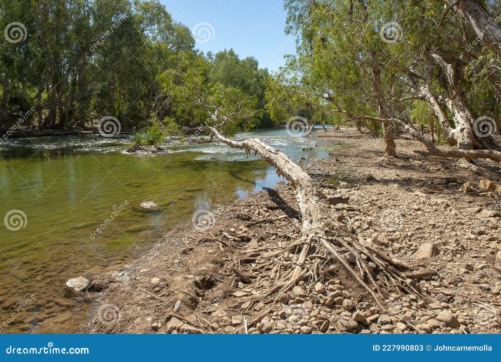 Gregory River ,north Queensland. Stock Image - Image of river ...